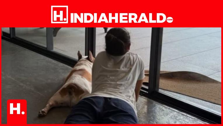 Naga Chaitanya Shares Photo Of Sobhita With Pet - Netizens
