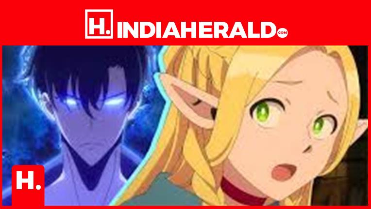 Netflix Provides Variety; Crunchyroll Specializes In Anime