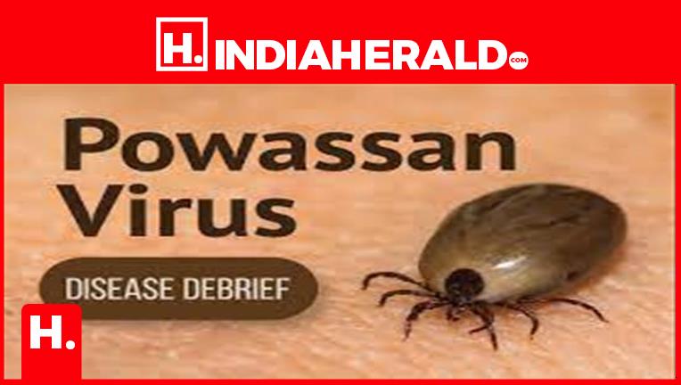 Next risk? Deadly Powassan virus..