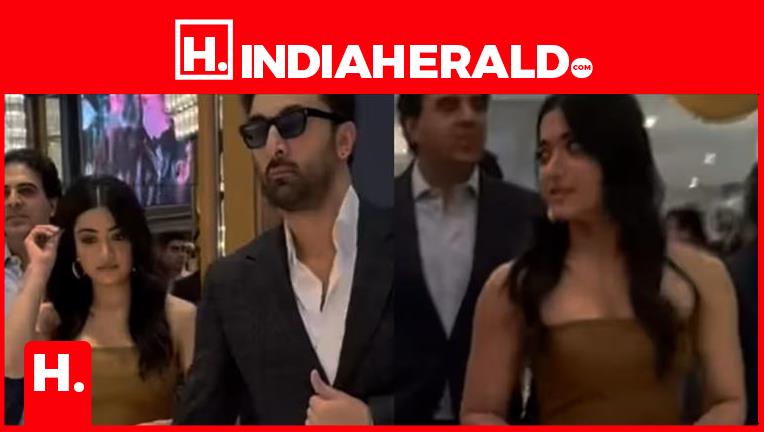 Rashmika Mandanna Flaunts Her Curves in Hot Dress at Animal