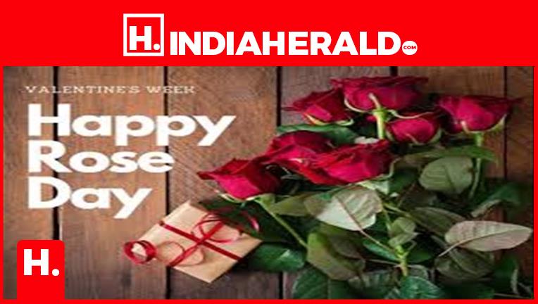 Romantic ways to celebrate Rose Day With Your Partner