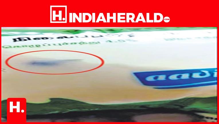 SHOCKING.. Dead fly floats inside an Aavin Packet..