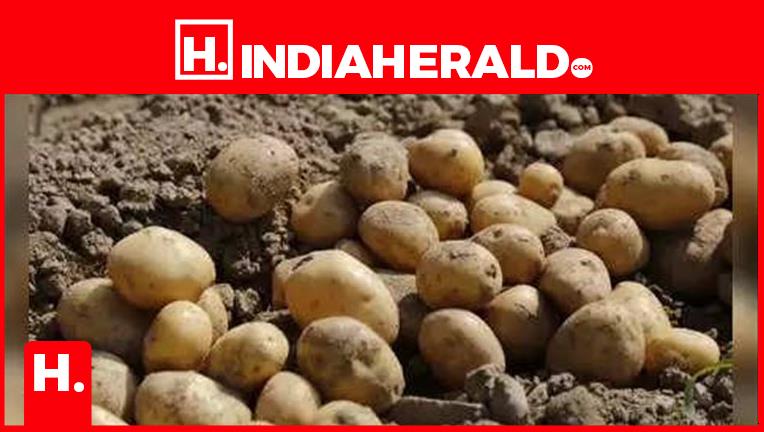 slow poison: these 10 ingredients are slow poison, devour l