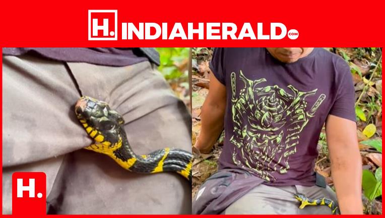 Snake Bites Famous Influencer s Private Parts - Terrifying