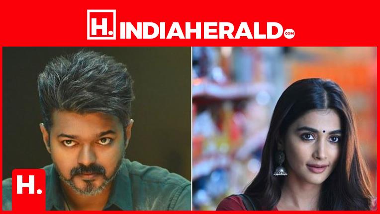 Split Verdict Shock Incoming? Inside the High-Stakes JanaNa