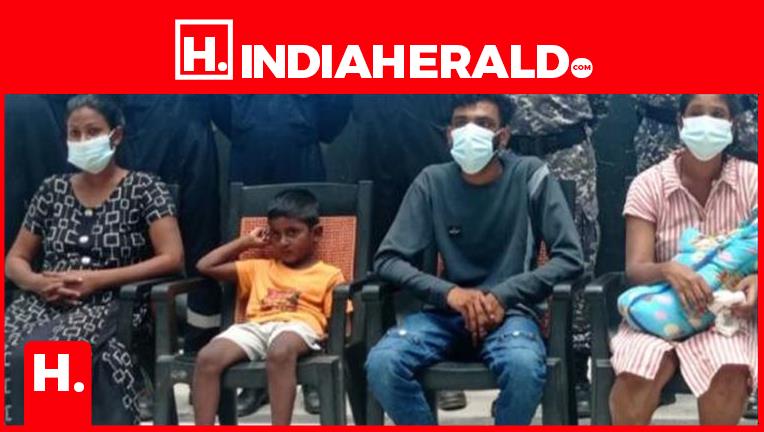 Sri Lankan Tamil refugees who arrived in Tamil Nadu were re