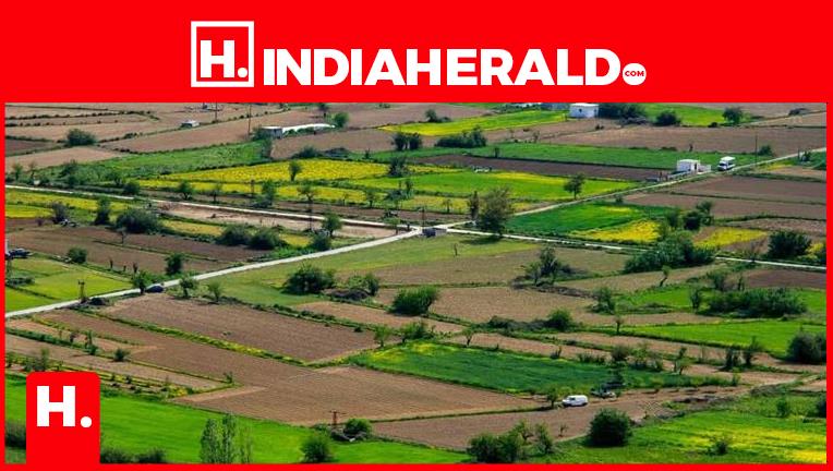 Telangana realtors urge govt to reconsider land value, stam