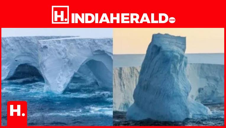 The world s largest iceberg.. will break next month.