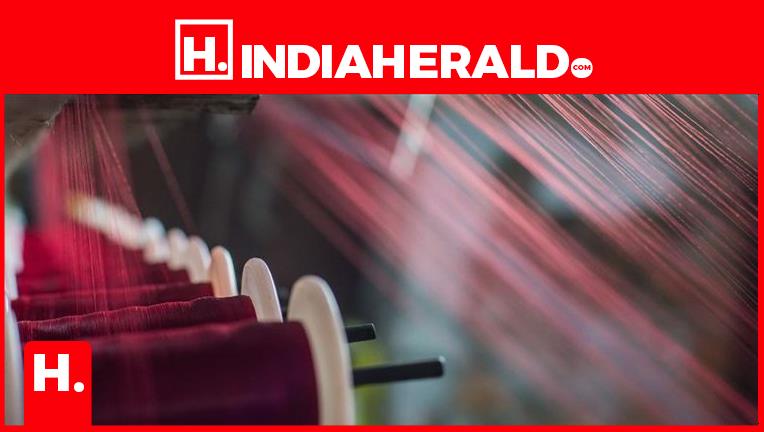 Today s Sanathan Textiles IPO share allocation: How to chec