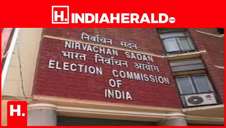 Transparency in Elections: Expenditure Adjusted.