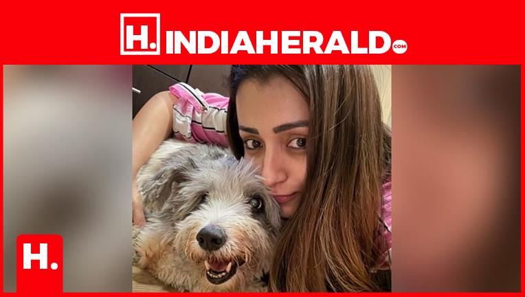 Trisha Krishnan Sends Love ahead of Valentine s Day