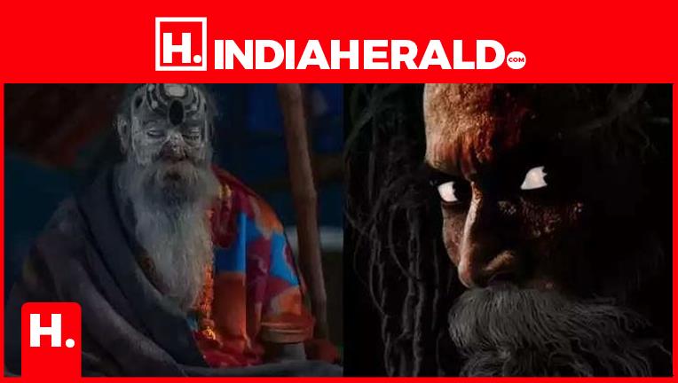 Which part of the dead person s body do Aghoris like to eat