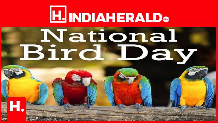 Why do we celebrate National Birds Day?