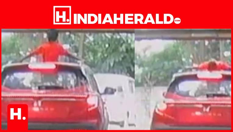 Why Letting Kids Pop Out of Sunroofs is a Death Trap?