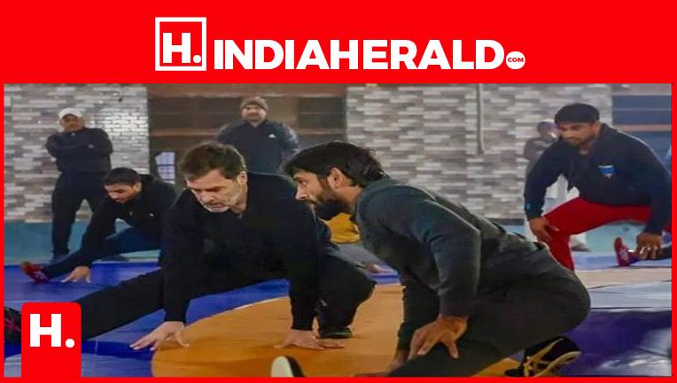 Why Rahul Gandhi met wrestler Bajrang Punia at Virendra Akh