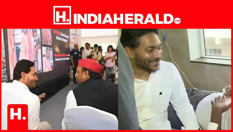 YS Jagan Smiling When People Suffer - Trolls and Memes Go V