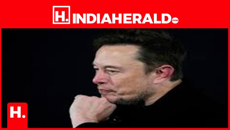 For what reason did Musk make such comment?