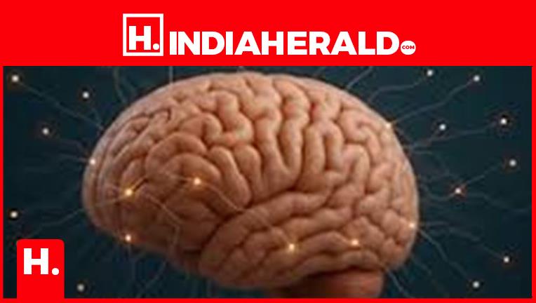 Eggless Chocolate Lava Cake