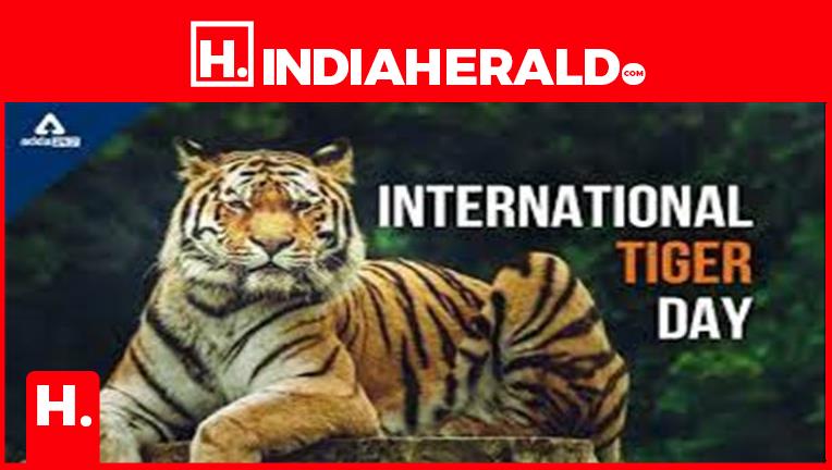 International Tiger Day: Let s Save Tiger s