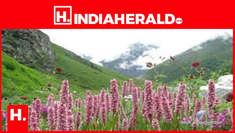 These places of India have a view like abroad