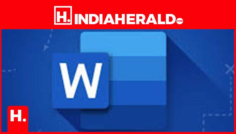 What type of software is MS Word?