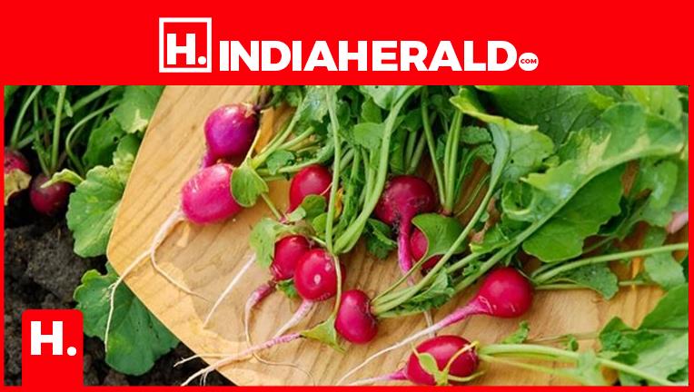 10 Amazing Health Benefits Of Radish.
