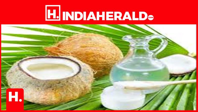 Apply this mixture to coconut oil.. ? No gray hair & dandru