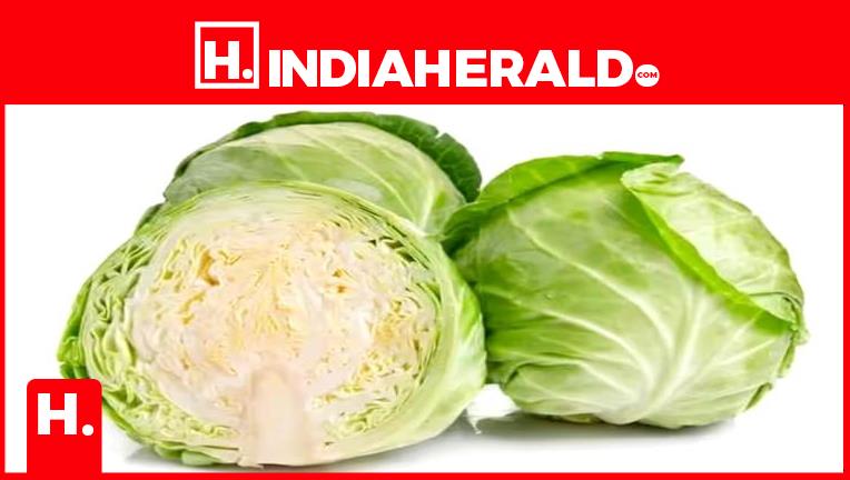 Attention Cabbage worms can eat your brain, mental disease