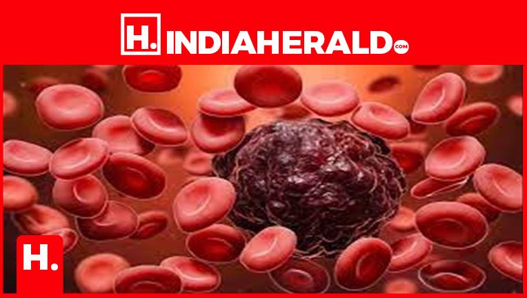 Blood Cancers: The Battle Against Abnormal Blood Cells.