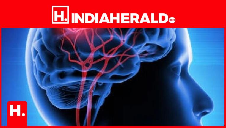 Can we gradually slow down the brain getting older and save