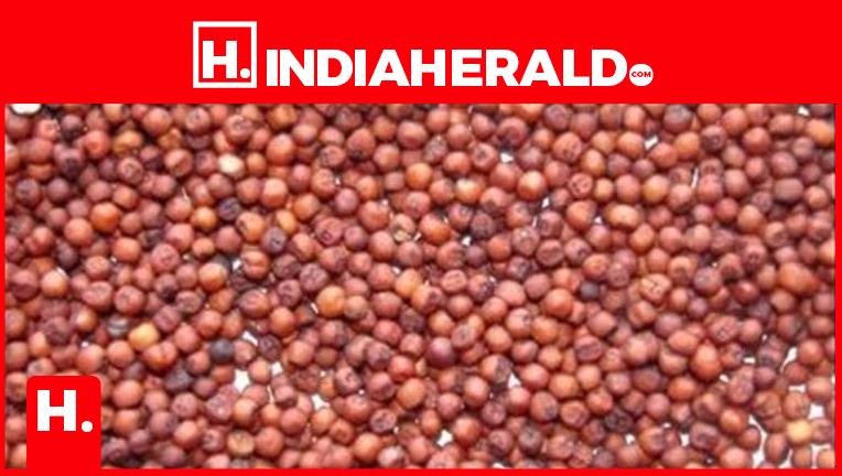 Complete Protein Source: Finger Millet s Boon for Vegetaria