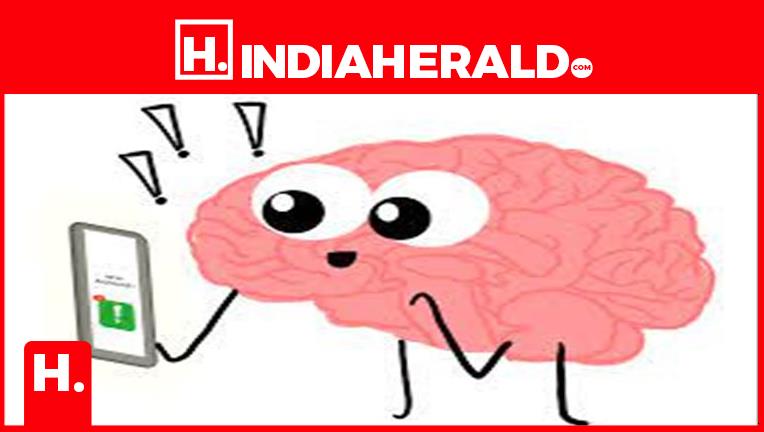 Dopamine s Reward Pathway: The Link Between Pleasure and Be