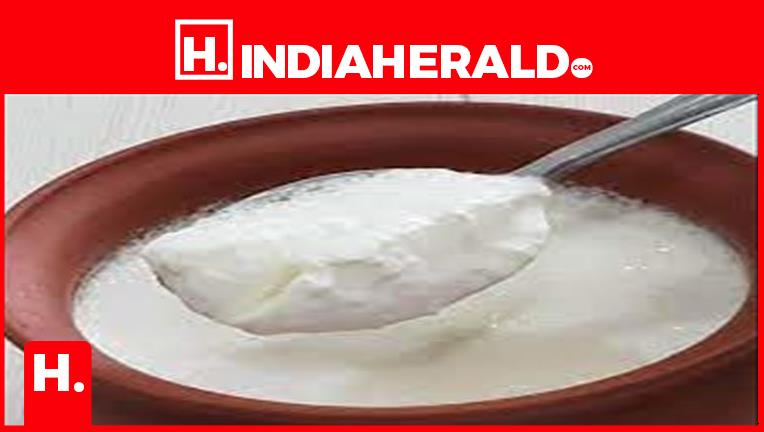 Eating curd in summer? Don t do these 5 mistakes