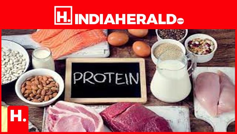Experts Clash - Excessive Proteins harms our health.?