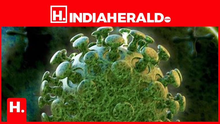 যেমন মিলছে আরোগ্যের খবর তেমনি চিন্তা বাড়িয়ে আসছে নতুন করে আ