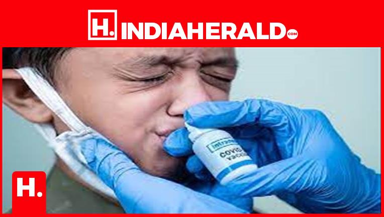 First Intranasal Vaccine: What is the speciality?