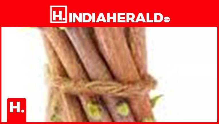 Fitness Blessings Of Brushing With Neem Stick