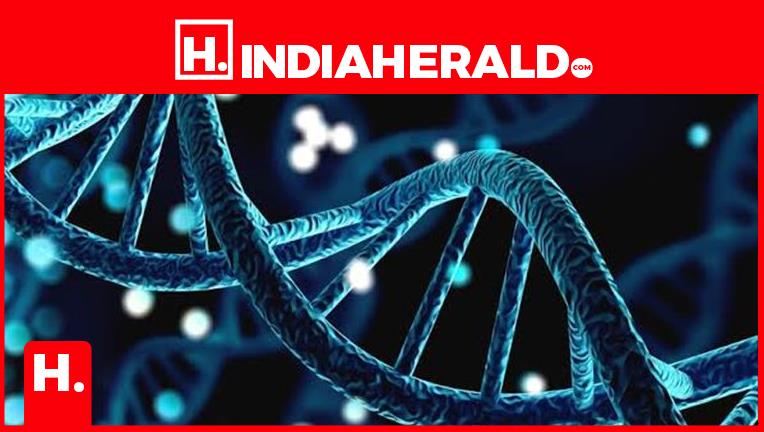 Genetic Testing: Illuminating Individual Health Needs.