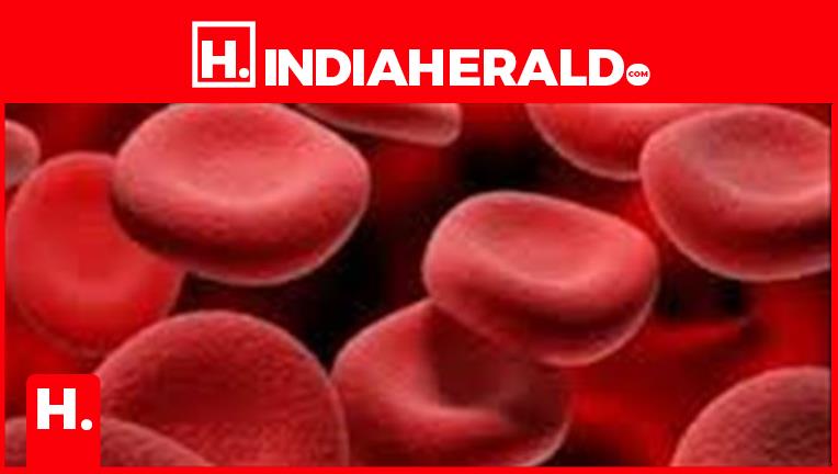 Haemoglobin Boost - Simple Steps to Wellness.