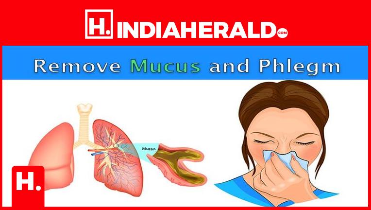 Home remedies to reduce Phlegm in Lungs...