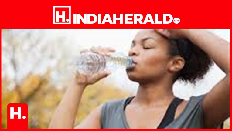 How A Great Deal Water Should You Drink In A Heatwave?