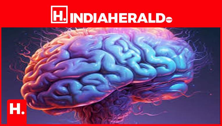 How do organs alter the brain to affect mental health?