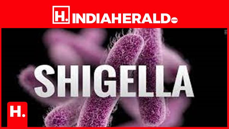 How is Shigella treated, and how may it be avoided?