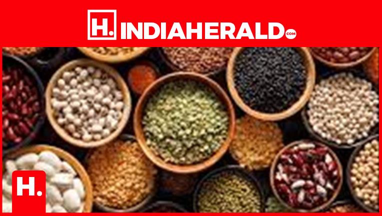 How Pulses Are Dietary Powerhouses: The Fitness Blessings O