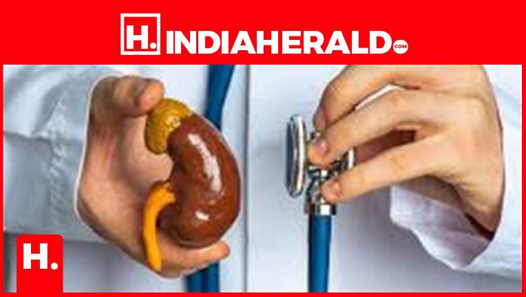 Is It Possible to Live With Just One Kidney?