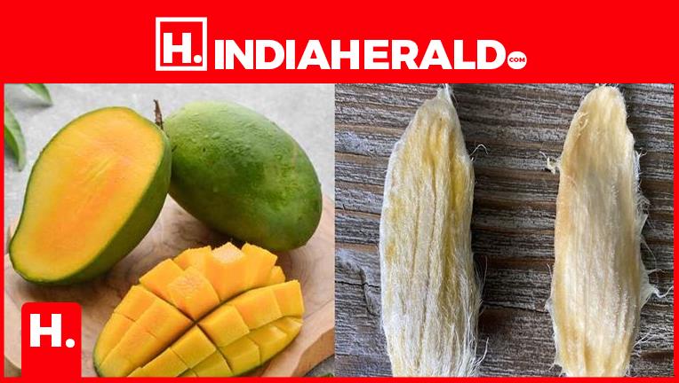 విటమిన్ బి-12 లోపంతో బాధపడుతున్నారా.. అయితే ఇవి వాడాల్సిందే