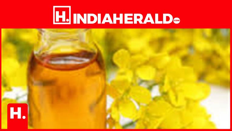 Mustard Oil Or Delicate Cooking Oil – Which One Is Healthie