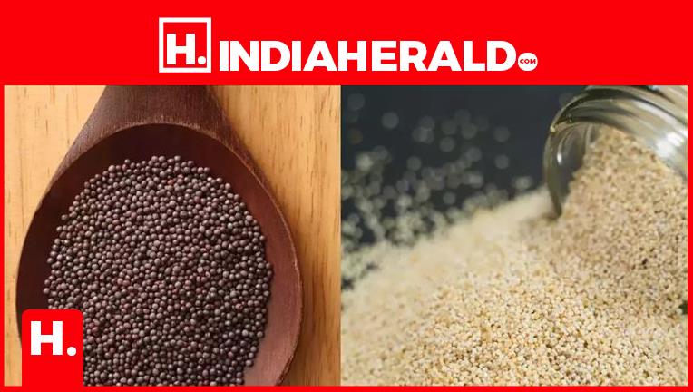 Mustard vs Poppy: Mustard or Poppy..Which one is better for