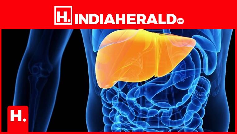 Plant-Primarily Based Diets Can Help Indians Fight Fatty Li