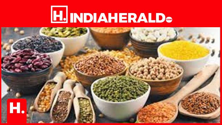 Pulses and Legumes highly Food Source of Protein